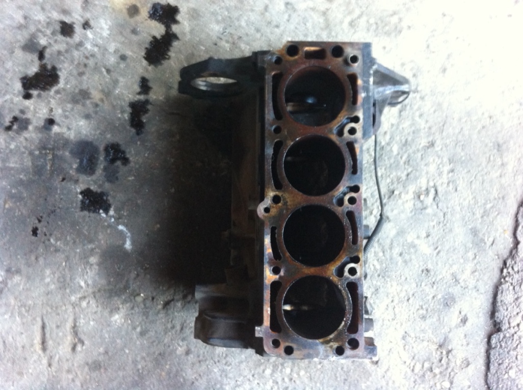 Bloc motor Opel Vectra B [1995 - 1999] Sedan 4-usi 1.6 MT (101 hp) (36 ...